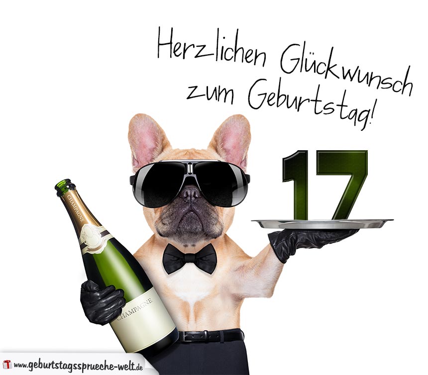 Glückwunschkarte mit Hund zum 17. Geburtstag - Geburtstagssprüche-Welt Glückwunschkarte mit Hund zum 17. Geburtstag - Geburtstagssprüche-Welt